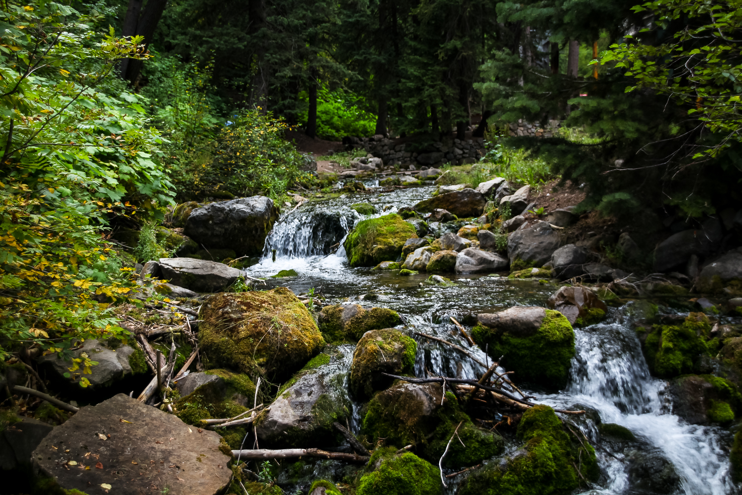 Mountain Stream - Jeff Blickenstaff Photography