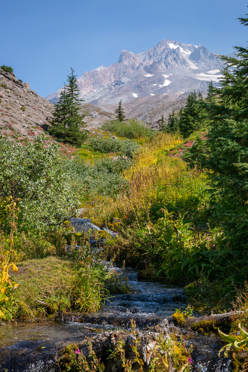 2018-09-05-Mt-Hood-Oregon-65 - Jeff Blickenstaff Photography